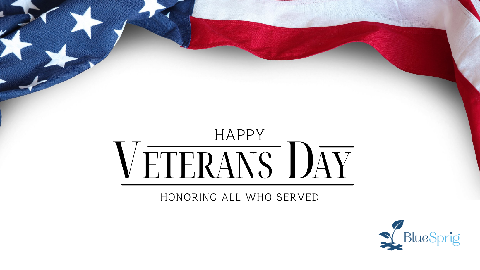 Veterans Day: Honoring our Heroes - Bluesprig Autism