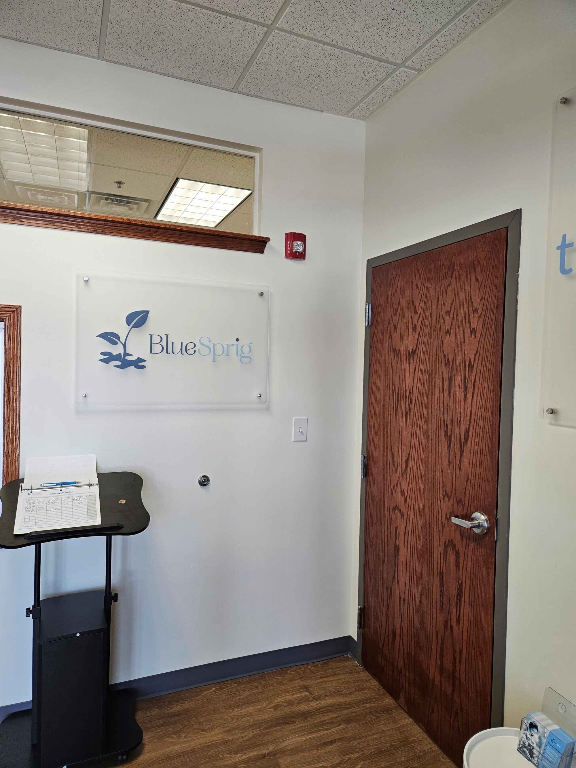 ABA Therapy BlueSprig - Kansas City - Bluesprig Autism