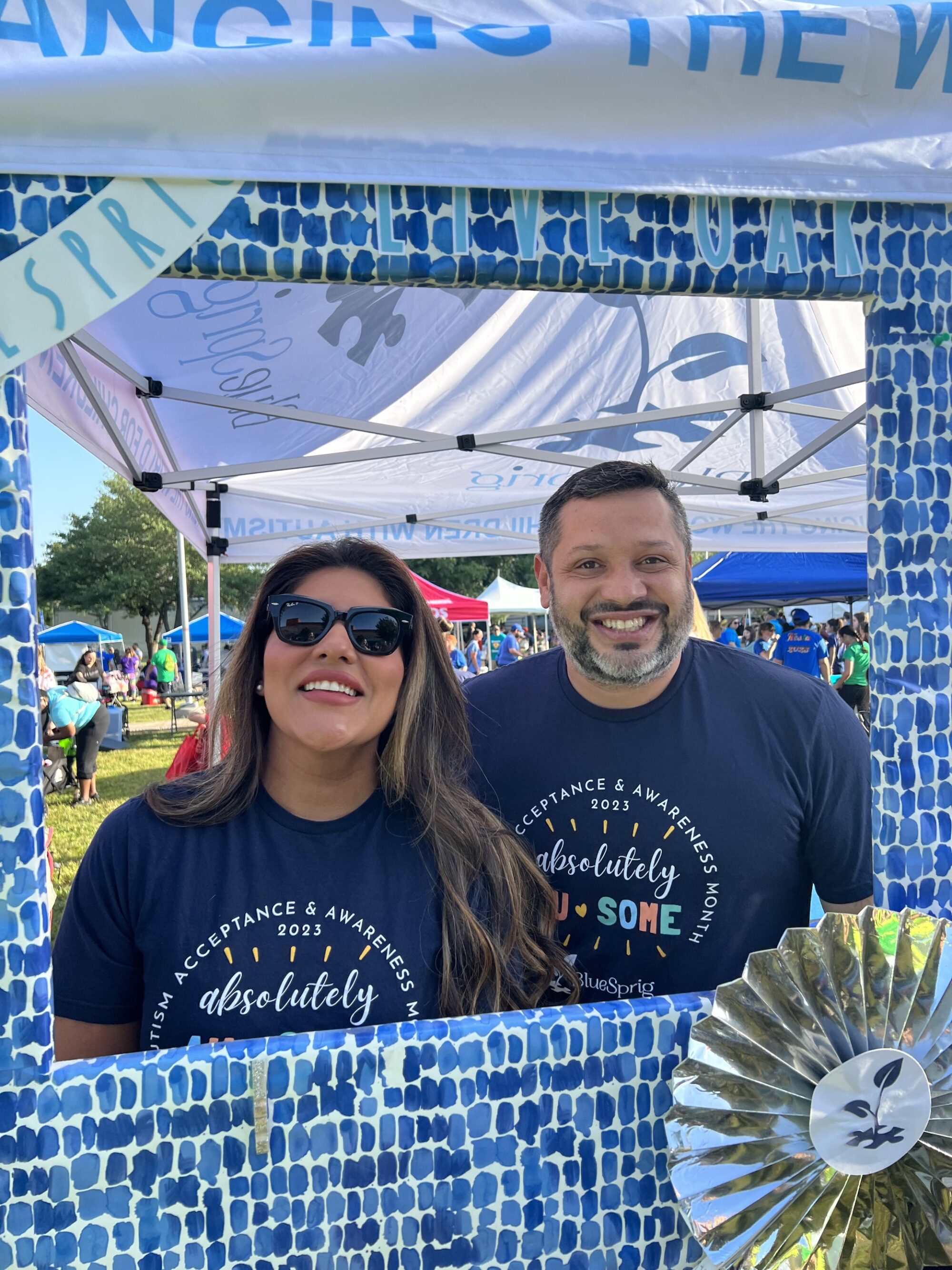 Professional Development - Bluesprig Autism