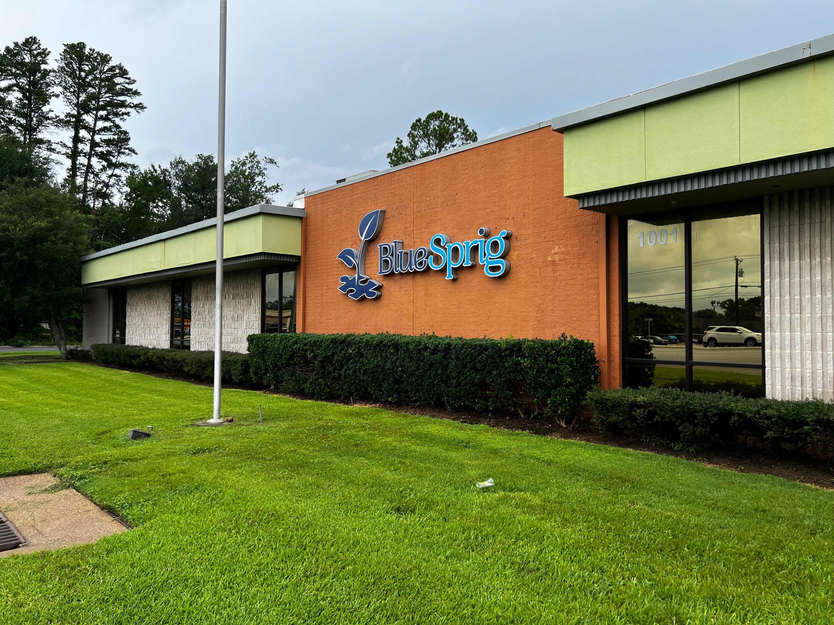 ABA Therapy BlueSprig - Tyler - Bluesprig Autism