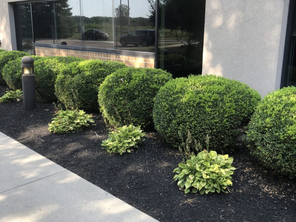 ABA Therapy Trumpet Behavioral Health - Fairborn - Bluesprig Autism